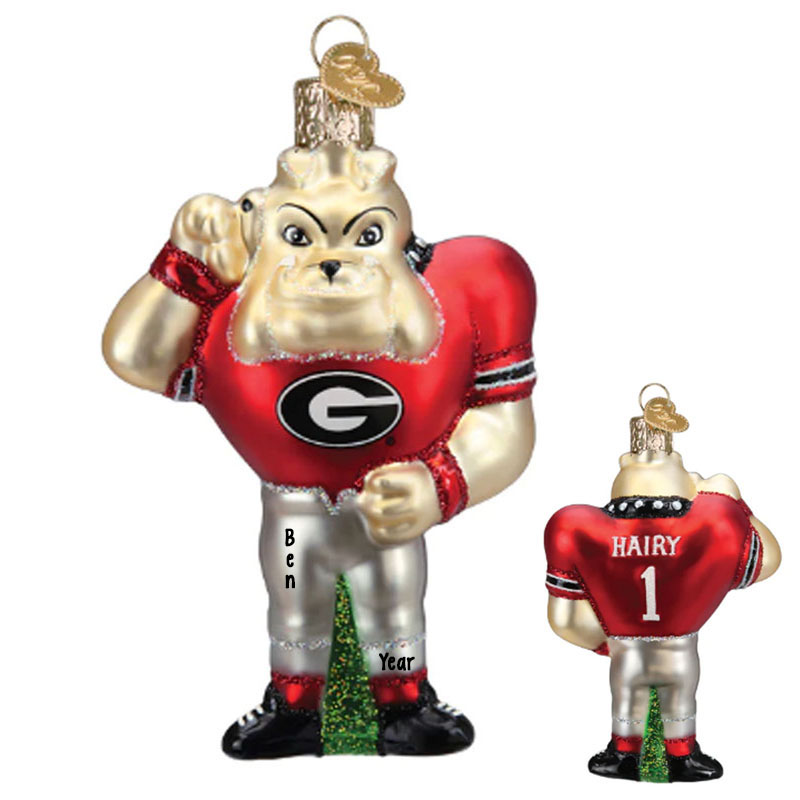 Personalized Georgia Harry Dawg Mascot 3-D Glass Ornament ...