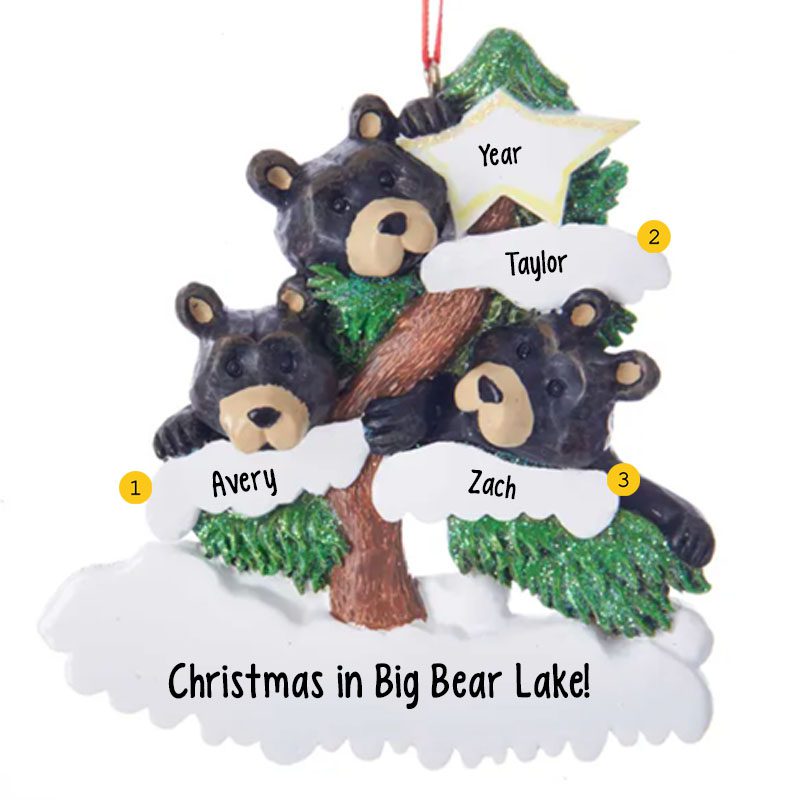 Family Of 3 Black Bears Vacation Souvenir Personalized Ornament ...